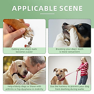 TIPOOP Easy to Wear Support for Dogs - Spinal Stability and Pain Relief