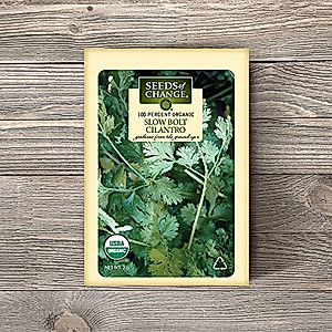 Seeds of Change 1728 Cilantro, Green