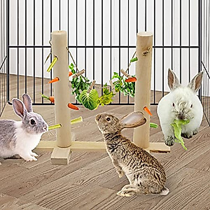 Hamiledyi Rabbit Feeding Rack, Bunny Wooden Hay Holder, Guinea Pig Standing Feeder,Vegetable Fruit Snacks Less Waste for Rabbit Chinchilla Guinea Pig