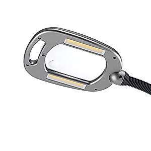 LIGHT IT! By Fulcrum, 20072-401 MultiFlex LED Floor Magnifier Lamp, Silver, Single pack