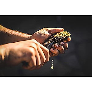 Deglon 6-Inch Oyster Knife, Dune