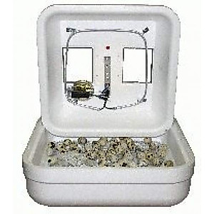 Hova-Bator Still Air Egg Incubator Kit for Reptiles