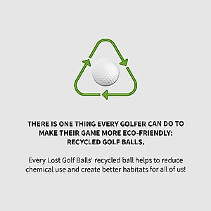 Vice Mix Mint Golf Balls 12 Pack, White (12GNBX-Vice Mix-1)