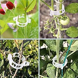 120 Pack Tomato Clips for String Plant Clips for Climbing Plants Supports Clips Garden Supplies Tomato Ties Plastic Tomato Plant Support Vegetables to Grow Upright Healthier
