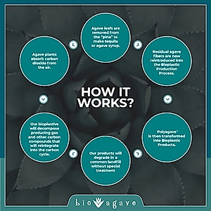 BIO AGAVE - 150 Pack Biodegradable 8 1/4" Standard Straws Made From Agave Fibers | Plant Based Eco Friendly Products | Drinking Straws | Reusable Straws