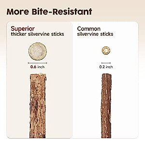 Potaroma 3 Pack Natural Silvervine Sticks Cat Toys, Catmint Silvervine Blend Sticks, Catnip Kittens Chew Toys for Teeth Cleaning, Matatabi Dental Care Cat Treat, Edible Kitty Lick Toys