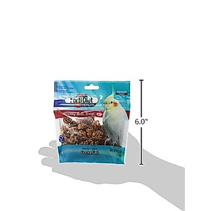 Kaytee Healthy Bits Bird Treat For Cockatiels, 4.75 Ounce