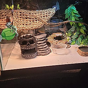 MUYG Chameleon Feeding Bowl with Suction Cup,Reptiles Feeder Water Bowls Anti-Escape Worm Live Fodder Translucent Container Ledge Dish Supplies for Lizard Bearded Dragon Gecko Snake(4Pcs)