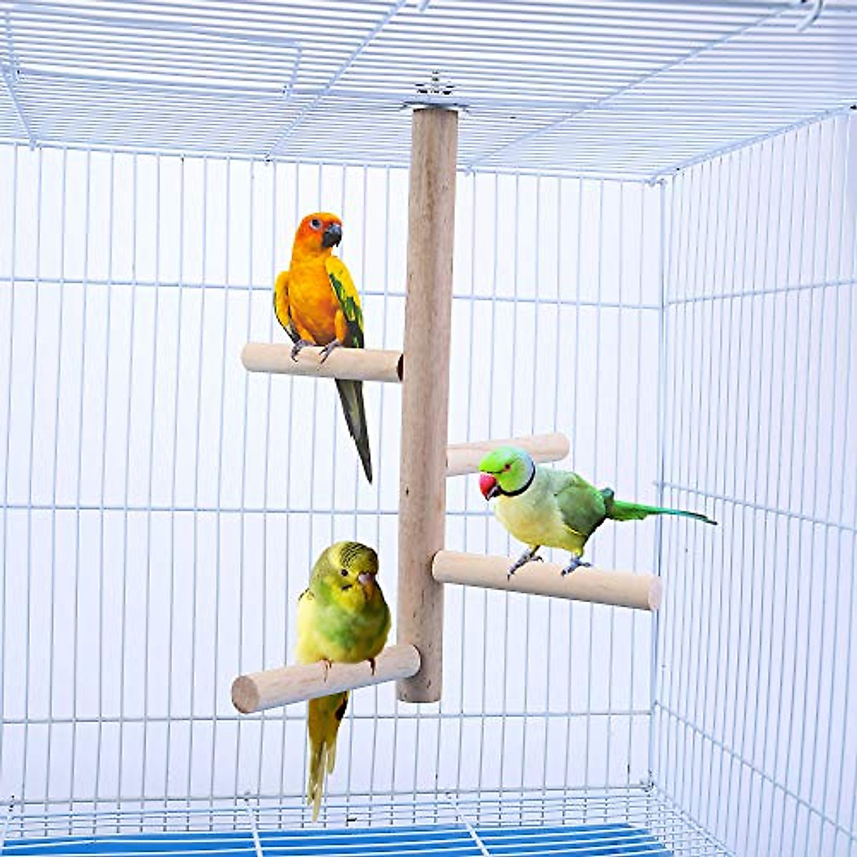 Mogoko Parakeet Perch Bird Natural Wood Stand,Parrot Cage Top Wooden Branches Standing Toys for Small Medium Parrots Conure Budgie Lovebirds