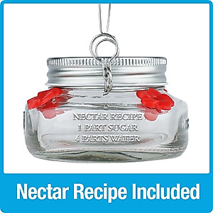 Nature's Way Bird Products MJF1 Nature's Way Mason Jar Hummingbird Dish Feeder, Clear 4" dia.
