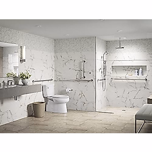 Kohler 76465-Y-BN 10" Awaken RAINHEAD, Vibrant Brushed Nickel