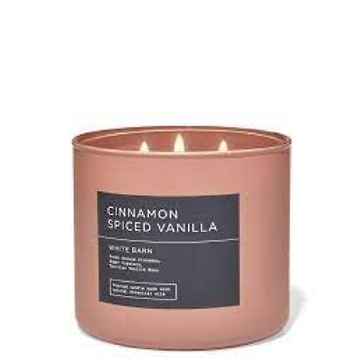 Works Cinnamon Spiced Vanilla 3 Wick Candle 14.5 oz / 411 g