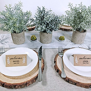 Winlyn Mini Potted Plants Artificial Flocked Eucalyptus Boxwood Rosemary Greenery in Pots Faux Potted Herbs Small Houseplants 8.8"-10" Tall for Indoor Greenery Tabletop Décor Centerpiece 3 Pack