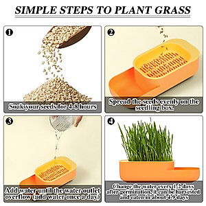 Sozize 2Pcs Hydroponic Cat Grass Planter Wheat Cat Grass Kit Soil Free Seed Sprouting Tray for Cat Grass Indoor Cats (no Seeds Included)