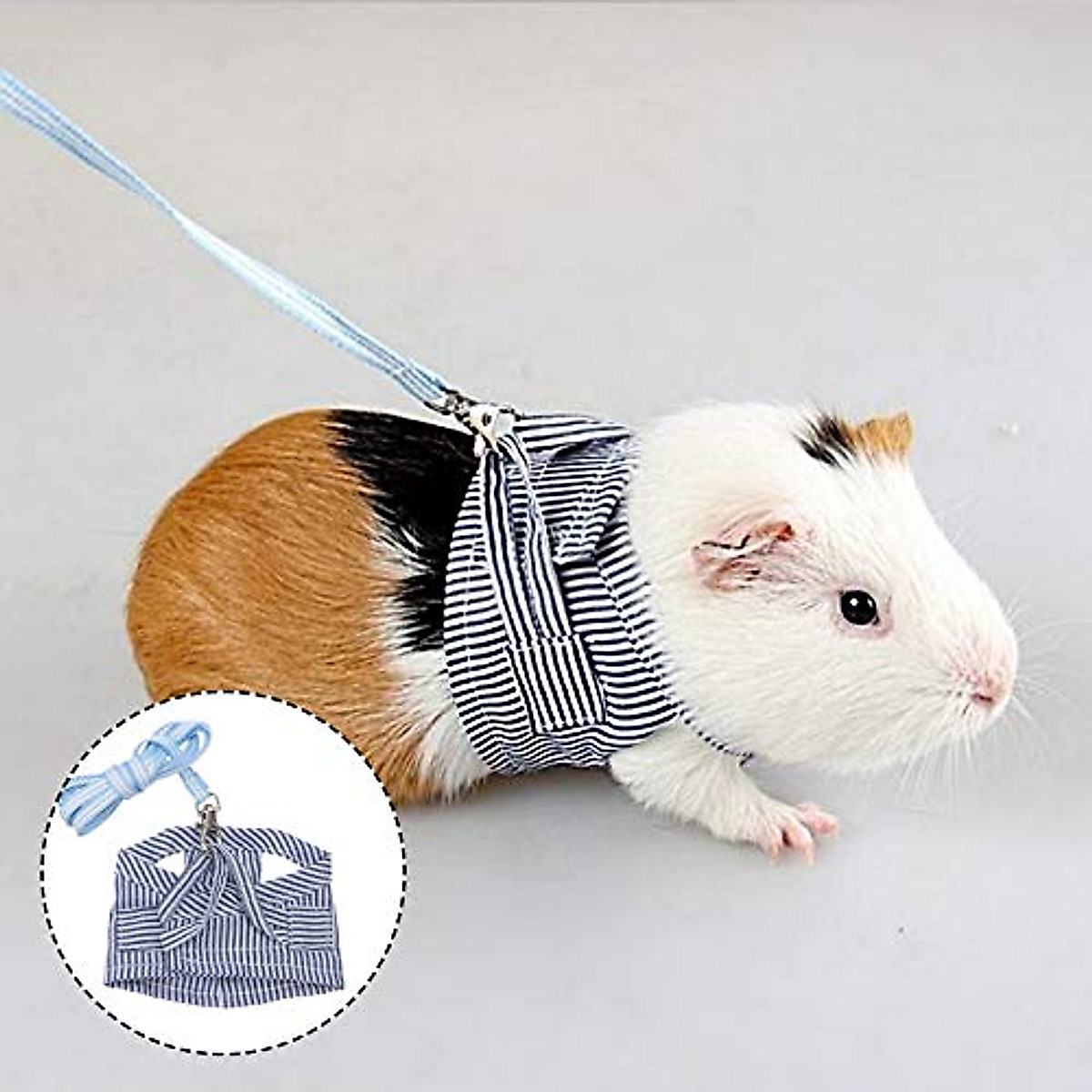 Small Animal Harness and Leash Guinea Pig Rabbit No Pull Comfort Padded Cotton Stripe Vest Suit for Chinchilla Puppy Kitten and Other Small Pets - Size S (Blue)