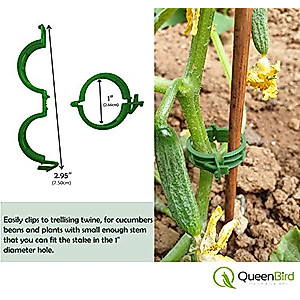 QueenBird Plant Clips - 200 PCS - Green - Garden Clips for Tomato and Other Vine Plants - Trellis Clips - Tomato Plant Support - Upright and Healthier Grow