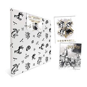 Harry Potter 2021 Calendar: Includes 2 Posters