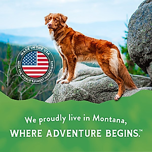 Montana Dog Food Co. Skin & Coat Health Supplement Chews for Dogs – Soothes Dry Itchy Skin with Omega 3 & 6, Biotin & Vitamin E – Promotes Shiny Coat & Healthy Skin –USA-Made, 70 Soft Chews