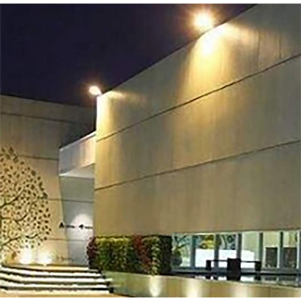 BesYouSel R7S LED Bulb 10W 78mm Double Ended LED COB Bulbs 100W Halogen Equivalent 120V J Type R7s Floodlight Adjustable Cool White 6000K Landscape Lights for Home, School, Warehouse, Pack of 3