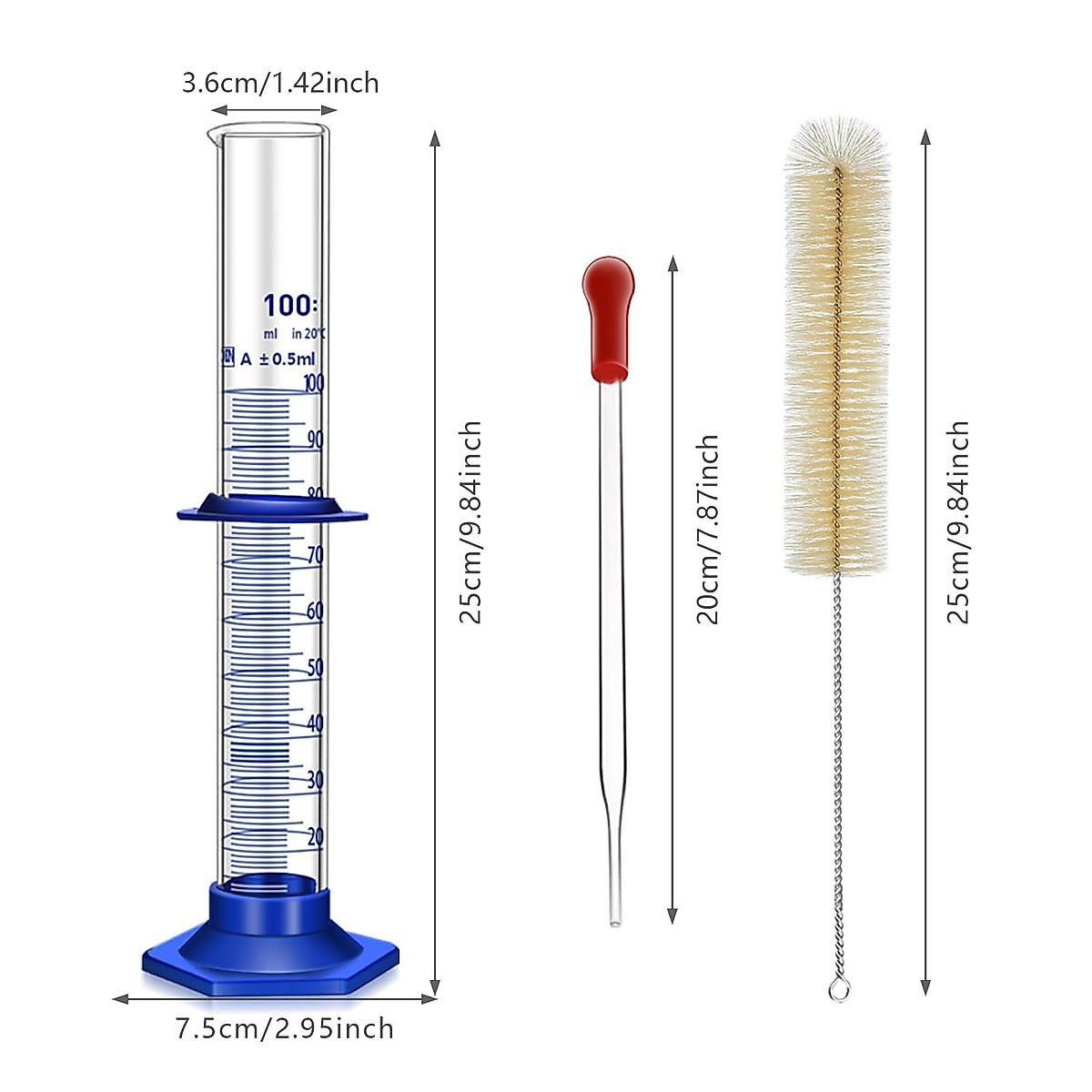 Thick Glass Graduated Cylinder Measuring Liquid Lab Cylinders with Anti-Falling Plastic Base and Bumper Guards and Cylinder Brush (Glass, 100ML)