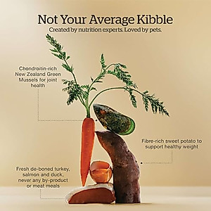 Now Fresh Grain-Free, Dry Dog Food, Real Meat and Fish, Turkey, Salmon and Duck Senior Recipe, All Breed Size, 22 lb Bag