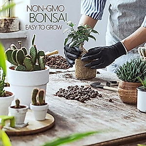 Bonsai Tree Kit – 5X Unique Japanese Bonzai Trees | Complete Indoor Starter Kit for Growing Plants with Bonsai Seeds, Tools & Planters – Gardening Gifts for Women & Men