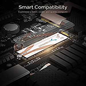 SABRENT 1TB Rocket Q4 NVMe PCIe 4.0 M.2 2280 Internal SSD Maximum Performance Solid State Drive with Heatsink |R/W 4700/1800 MB/s (SB-RKTQ4-HTSS-1TB)