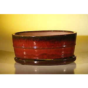 Parisian Red Ceramic Bonsai Pot - Oval Professional Series with Attached Humidity/Drip Tray 10.75 x 8.5 x 4.125