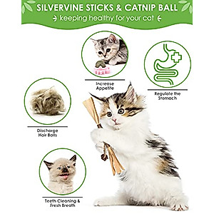 TINDTOP Catnip Balls & Silvervine Sticks Kit, Natural Catnip Toys for Kittens Teeth Cleaning, Matatabi Dental Care, Increase Appetite, Calm Cat Anxiety and Stress, Aggressive Chewers Cat Dental Toy