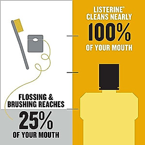 Listerine Antiseptic Mouth Wash Original Flavor Bottle, 1.5 L, 2 Piece