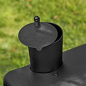 Char-Griller E5030 Dual Function 2-Burner Gas & Charcoal Grill, Black