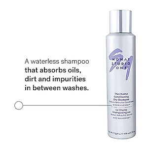 MONAT Studio One™ The Champ™ Conditioning Dry Shampoo Infused w/Rejuveniqe® - Waterless Shampoo That Absorbs Oils, Dirt & Impurities in Between Shampoos. For All Hair Types - Net wt. 113g/4 fl oz.