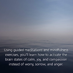 Buddha's Brain: The Practical Neuroscience of Happiness, Love, and Wisdom