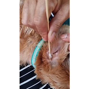 FAST LIFE Cotton Buds for Dogs