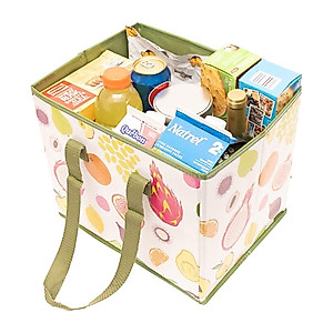 PLANET E Reusable Grocery Shopping Box Bags - Premium Quality Heavy Duty Tote Set with Reinforced Bottom | Folding, Collapsible, Durable and Eco Friendly (3 Pack - 3 fruits), Large