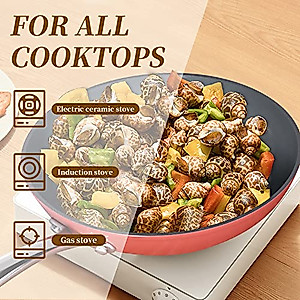 Flamingpan 10.5 Inch Nonstick Frying Pan, Internal Ceramic Coating, Smooth and Easy to Clean, Non-stick Frying Pan has great permeability and versatility, Skillet for Use in Family, Party and Party.