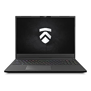 Eluktronics MECH 16 GP RTX 4090 Gaming Laptop: Intel Core i9-13900HX, 16" 16:10 240Hz QHD G-SYNC Panel, Cherry MX Mechanical Keyboard, 99.8WHr Battery, Thunderbolt 4, 2TB NVMe Gen 4 SSD, 64GB DDR5 RAM