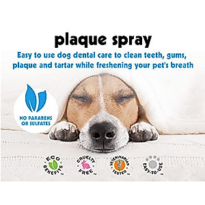Petkin Plaque Spray, Cool Mint, 4 Fl Oz – Cleans Teeth & Gums, Removes Plaque & Tartar, Freshens Breath & Whitens Teeth with Baking Soda - Ideal Cat & Dog Dental Spray with No Brushing or Rinsing