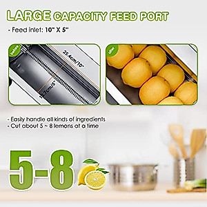 NEWTRY Electric Vegetable Slicer Commercial Fruit Slicer Machine Tomato Slicer 0-10mm (25/64inch) Thickness Adjustable Stainless Steel for Lemon Potato Onion Tomato 110V US