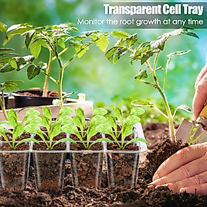 20 Set Seed Starter Tray Seed Starter Kit with Humidity Dome 240 Cells Total Plant Germination Trays with Drain Hole Reusable Propagation Tray Base Mini Greenhouse for Seedling Starting Growing