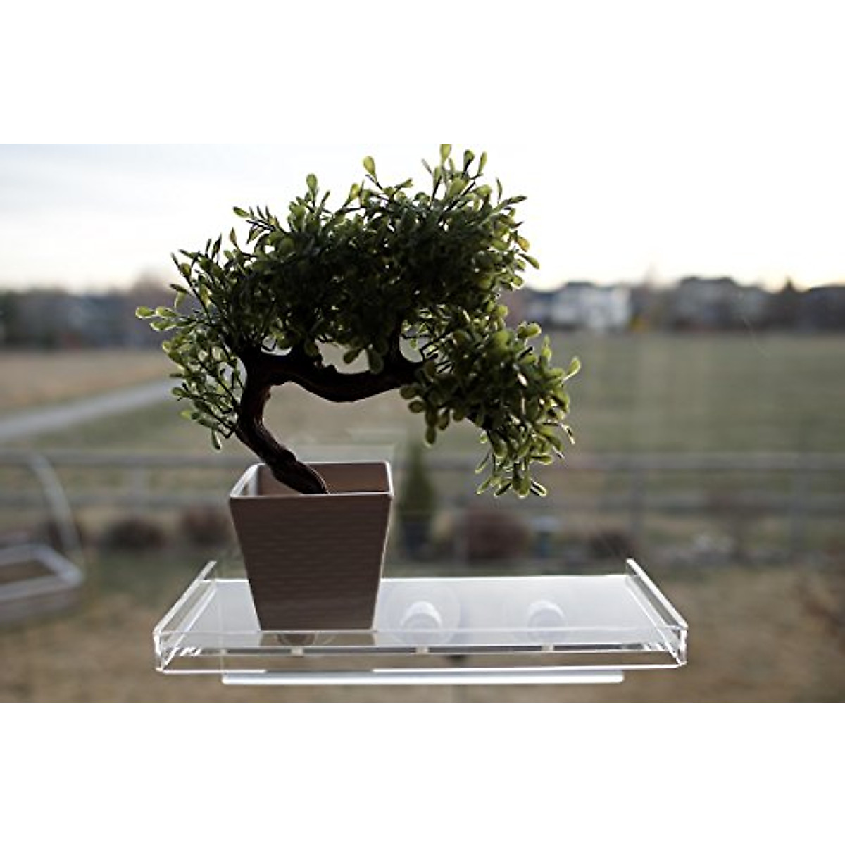 LaBrinx Designs Medium Suction Cup Shelf - Live Plants, Windows, and Bathrooms