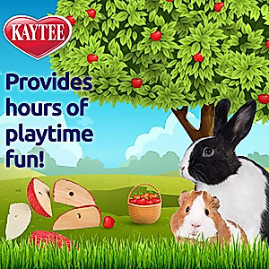 Kaytee Combo Chews Apple Slices, 3-Pack