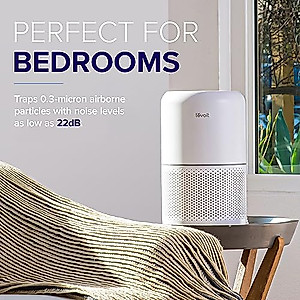 LEVOIT Air Purifiers for Home Bedroom H13 True HEPA Filter for Large Room, Sleep, Quiet Cleaner for Dust, Allergies, Pets, Smoke, White Noise, Smart WiFi, Auto Mode, 300S