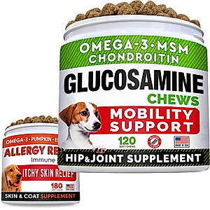 Glucosamine Treats + Allergy Relief Dog Bundle - Joint Supplement w/Omega-3 Fish Oil + Itchy Skin Relief - Chondroitin, MSM + Pumpkin + Enzymes + Turmeric - Skin & Coat - 120+180 Chews - Made in USA