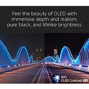 Sony XR48A90K 48" 4K Bravia XR OLED High Definition Resolution Smart TV with an Additional 1 Year Coverage by Epic Protect (2022)