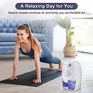 SEAVON Electric Dehumidifiers for Home, 2200 Cubic Feet (205 sq ft) Portable and Compact 16 oz Capacity Quiet Dehumidifiers for Basements, Bedroom, Bathroom, RV, Laundry Room, Closet, Auto Shut Off