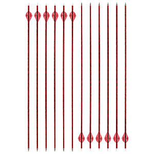 ZSHJGJR 30" Carbon Arrows Archery Hunting Arrows Spine 500 with Removable Tips Targeting Practice Arrows for Compound Recurve Bow (12, Red)