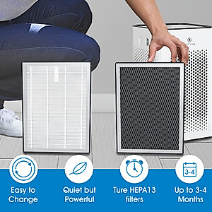 2 Pack MA Series 25 Replacement Filters Compatible with 25 B1/S1/W1 Air Purifier, 3-In-1 True Hepa and Activated Carbon Filter