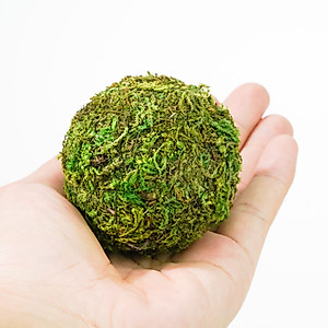 Tongcloud 6pcs Natural Green Moss Decorative Ball,Natural Green Moss Balls Handmade Decorative Moss Hanging Balls for Garden Patio Home Table Decor Party Weddings Display Props Decor (Green, 6)
