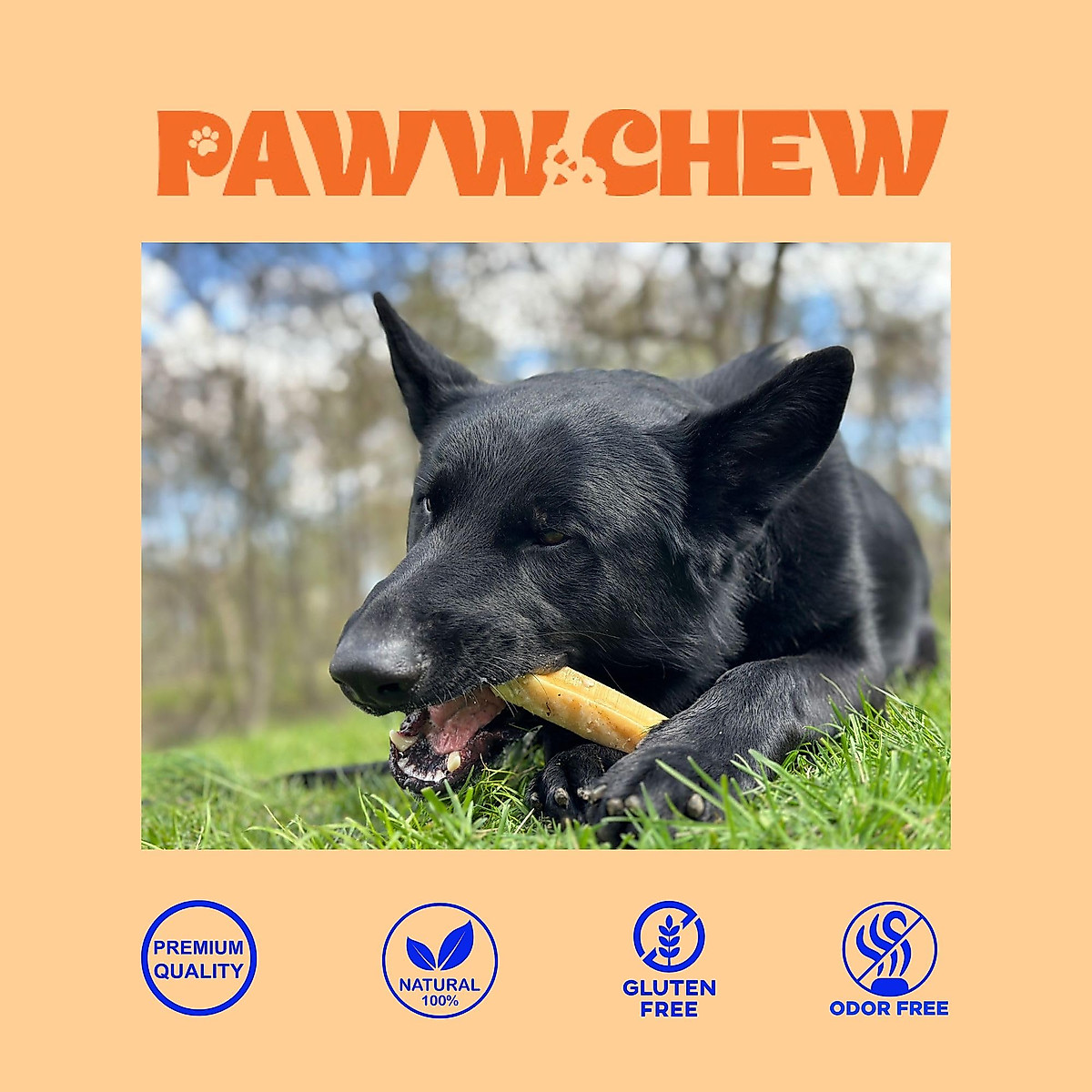 PAWW CHEW Himalayan Yak Chews for Small Dogs - 100% Natural Long Lasting Dog Treat, (Small - 8 Pack) Odorless, High Protein Yak Cheese, Limited Ingredient Yak Bones for Small Dogs